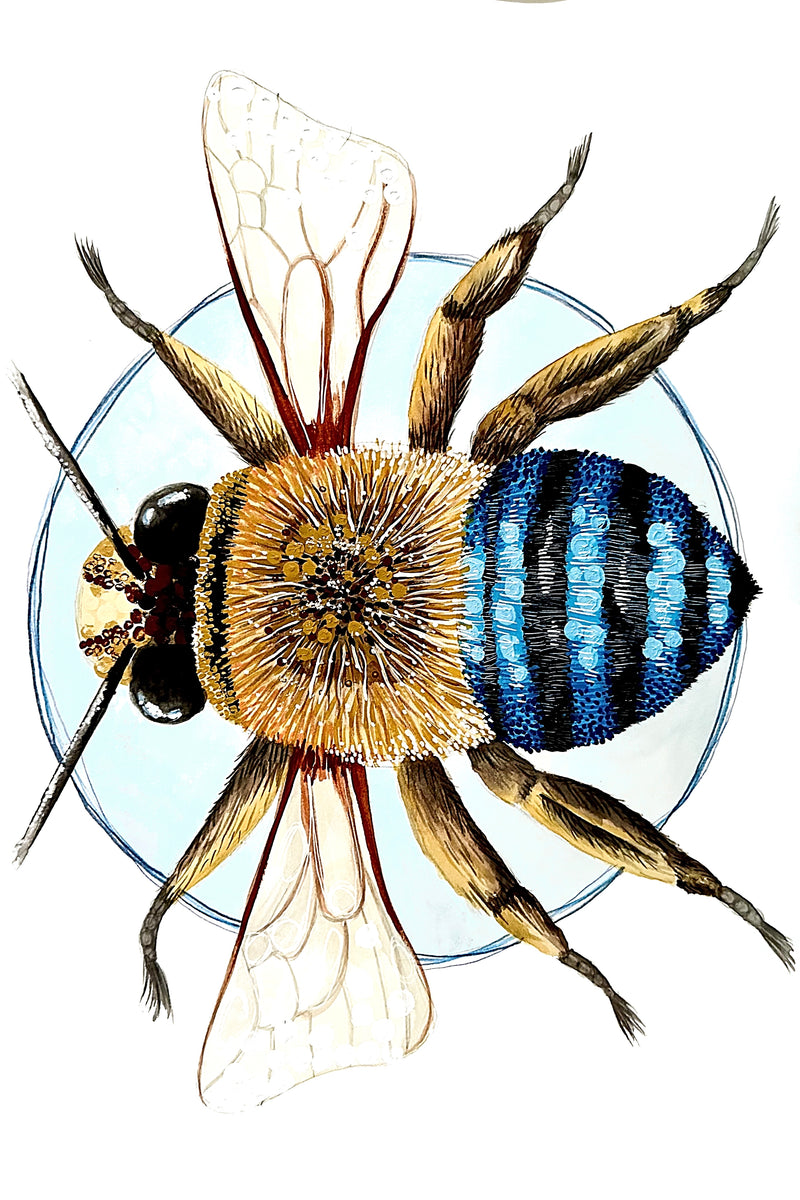 ‘Bee-ter together’ Print set – Tanya Kalantary - Artist